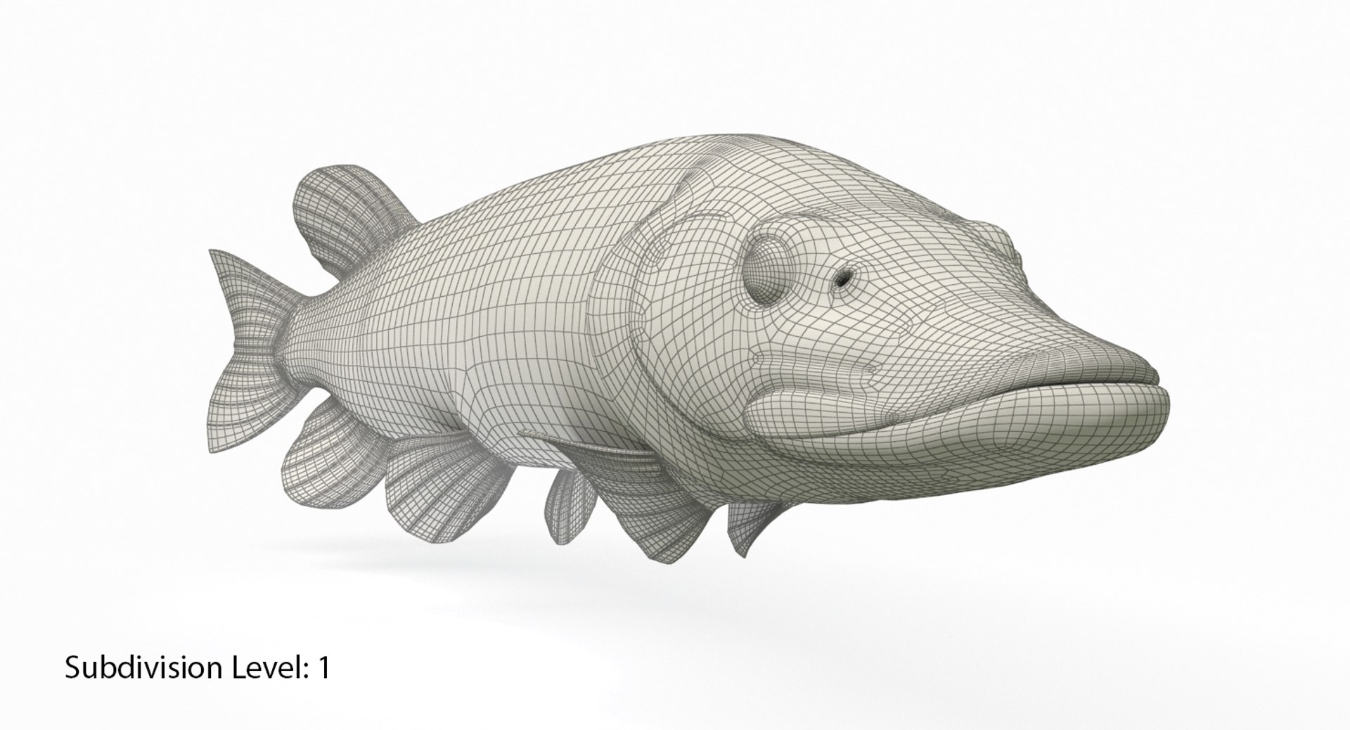 Pike Fish Animation 3d Model