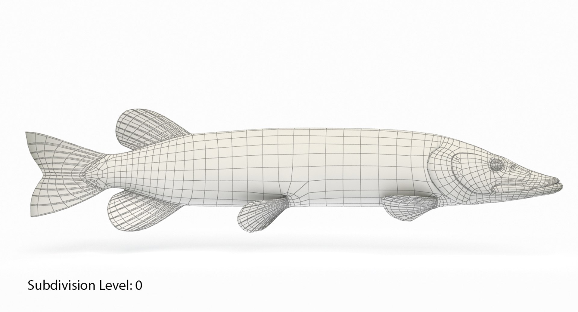 Pike Fish Animation 3d Model