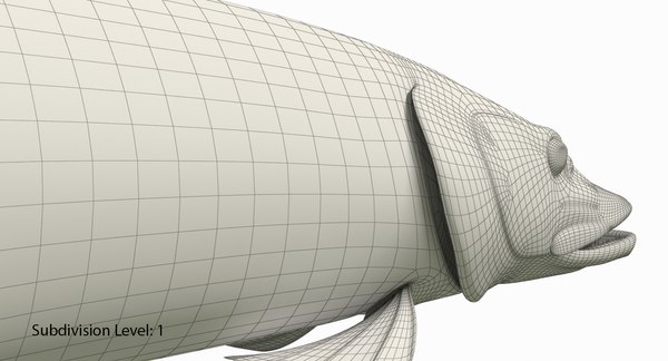 pike fish animation 3d model