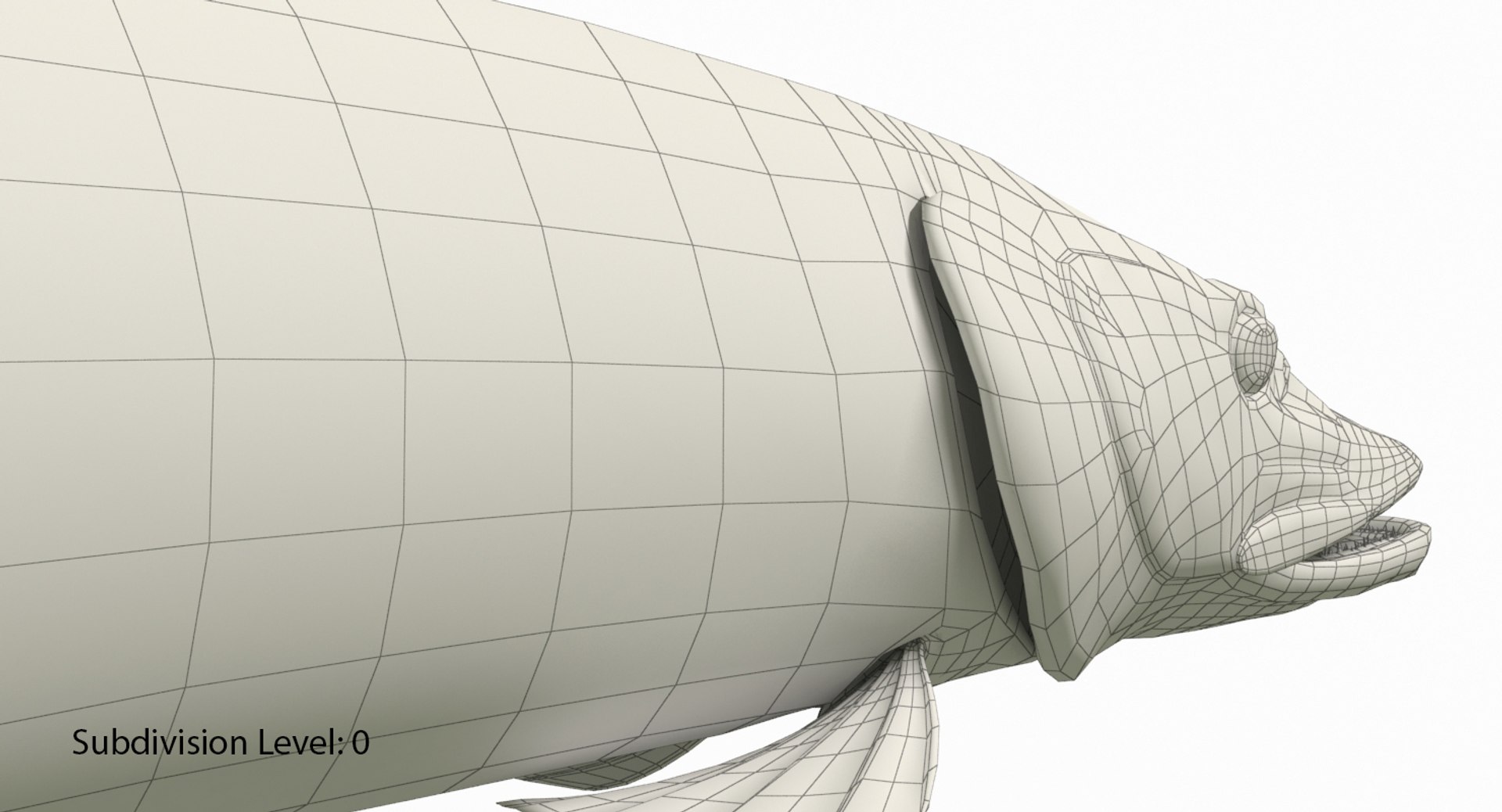 Pike Fish Animation 3d Model