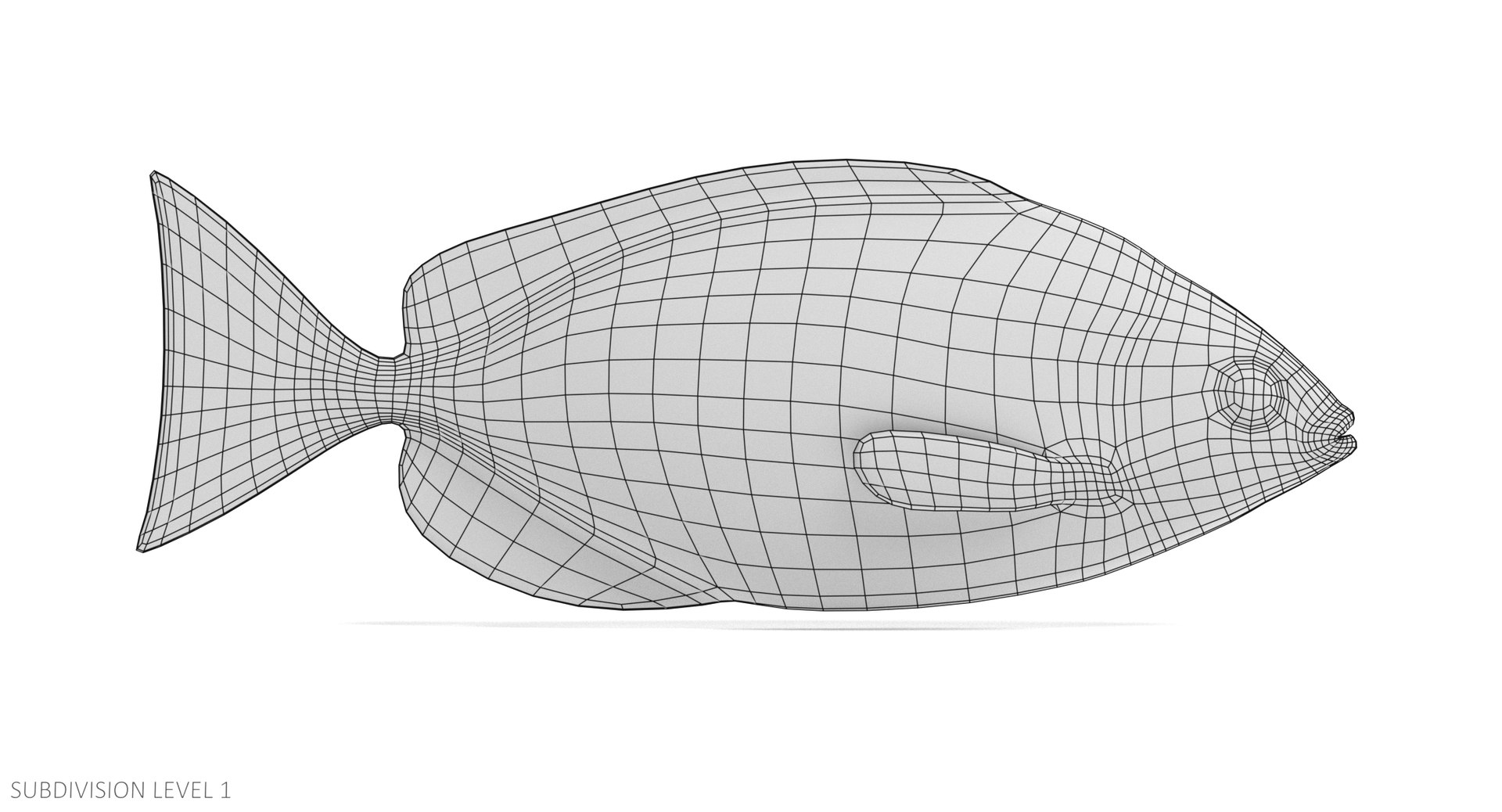 Java Rabbitfish 3D Model - TurboSquid 1246664
