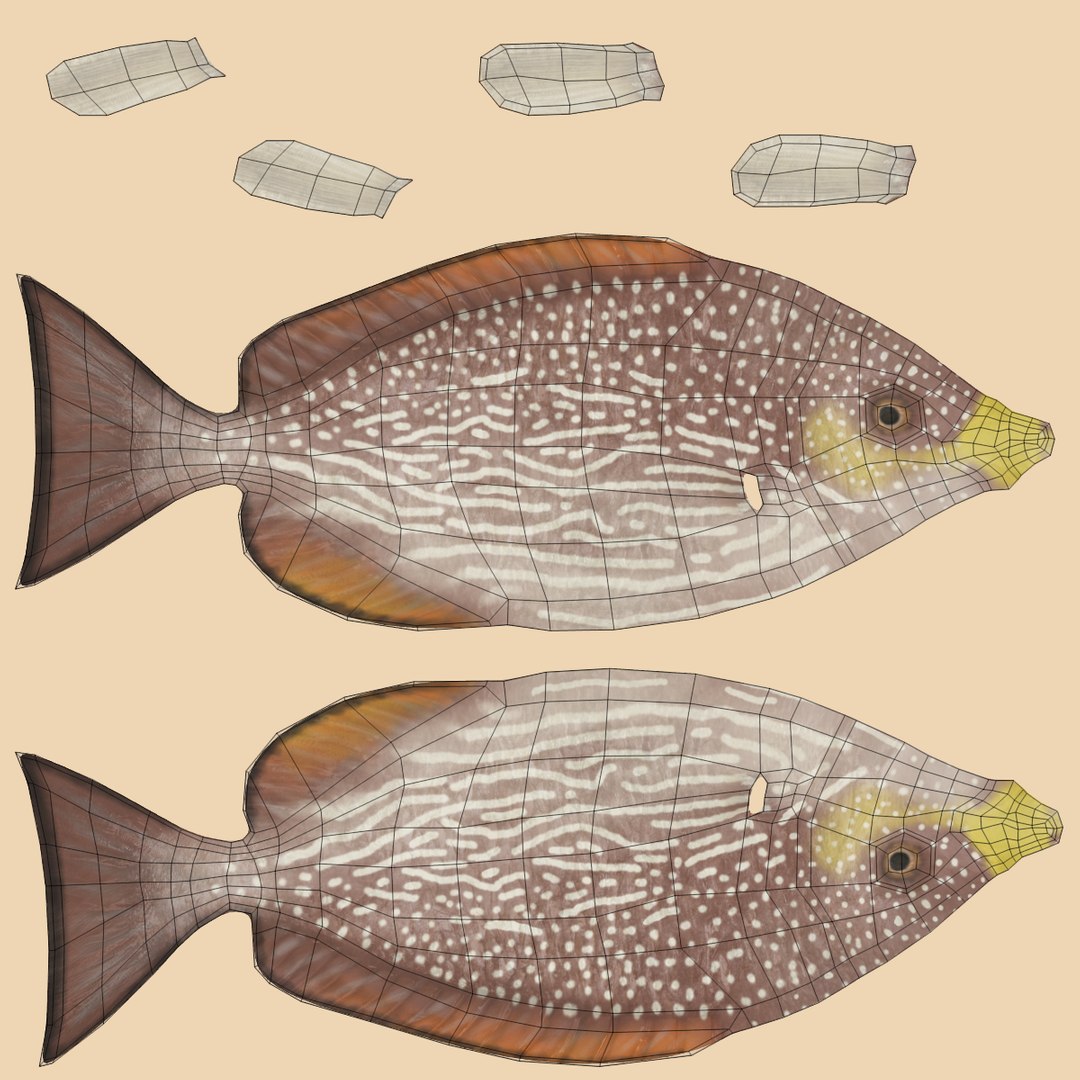 Java Rabbitfish 3D Model - TurboSquid 1246664