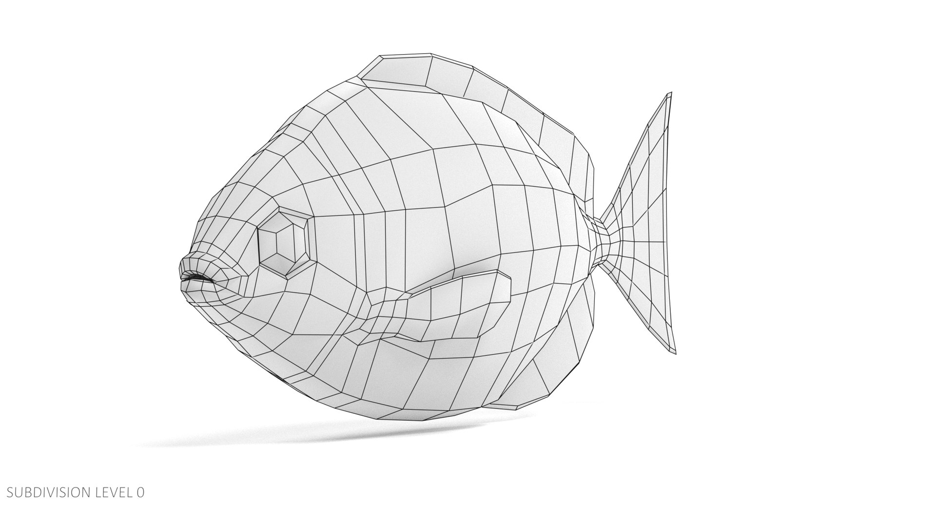 Java Rabbitfish 3D Model - TurboSquid 1246664