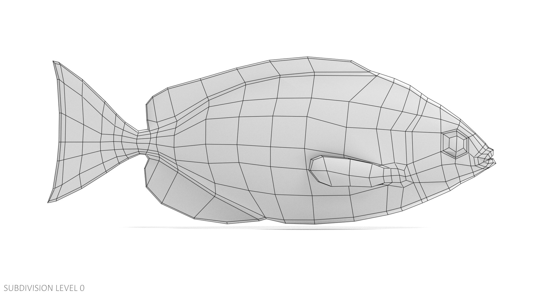 Java Rabbitfish 3D Model - TurboSquid 1246664