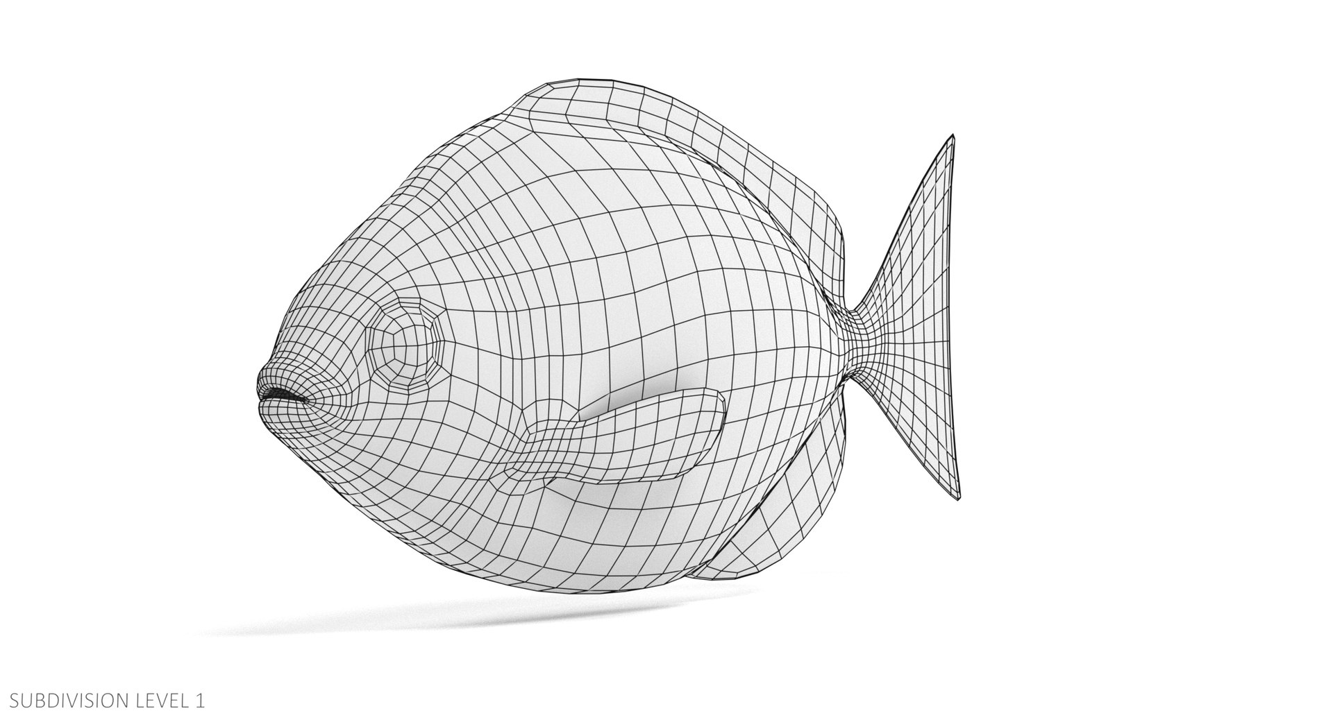 Java Rabbitfish 3D Model - TurboSquid 1246664