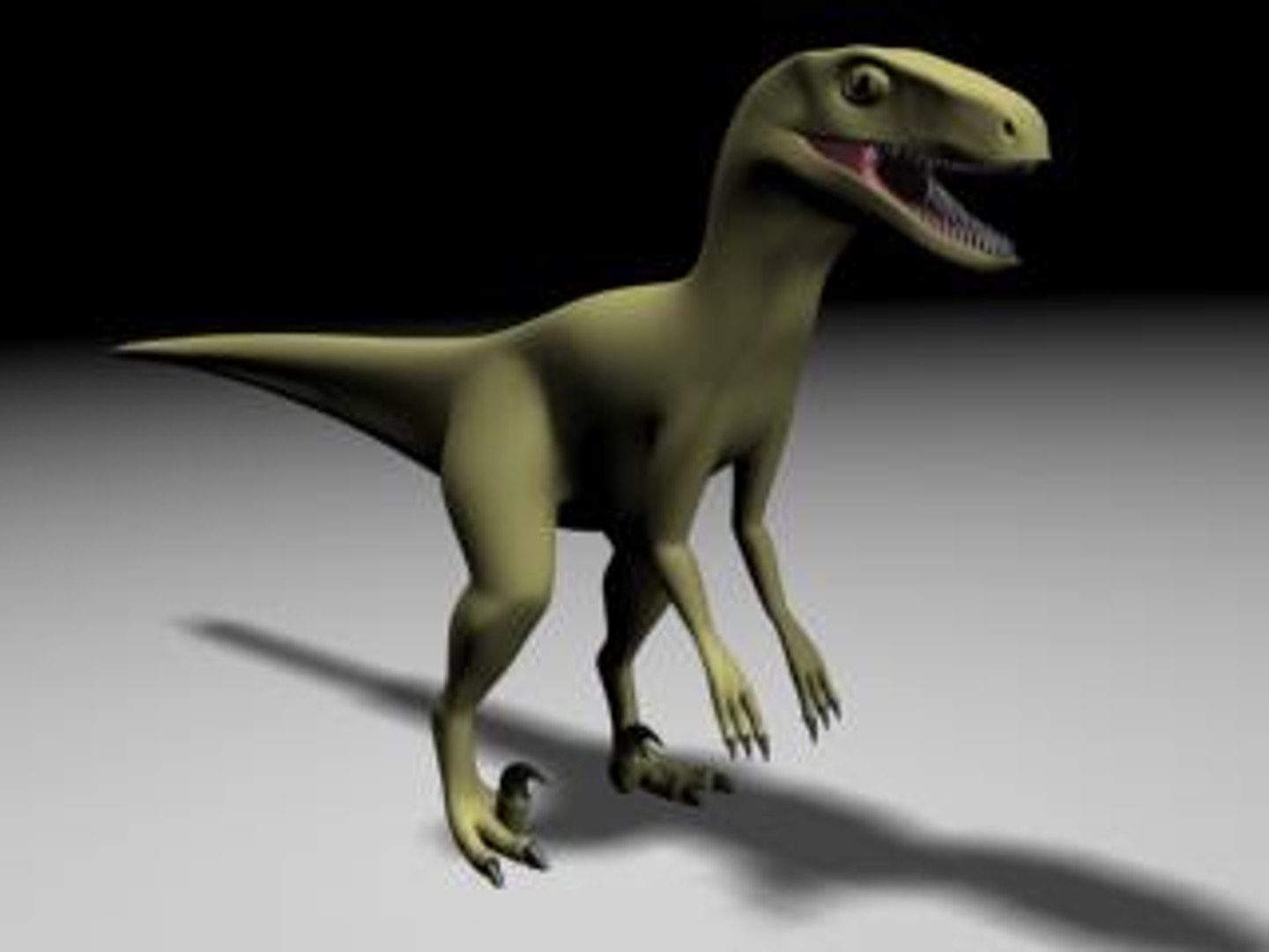 3d Velociraptor Model