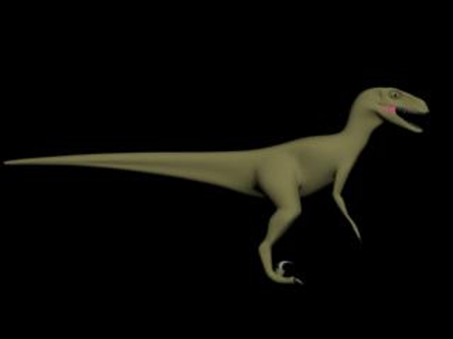 3d Velociraptor Model