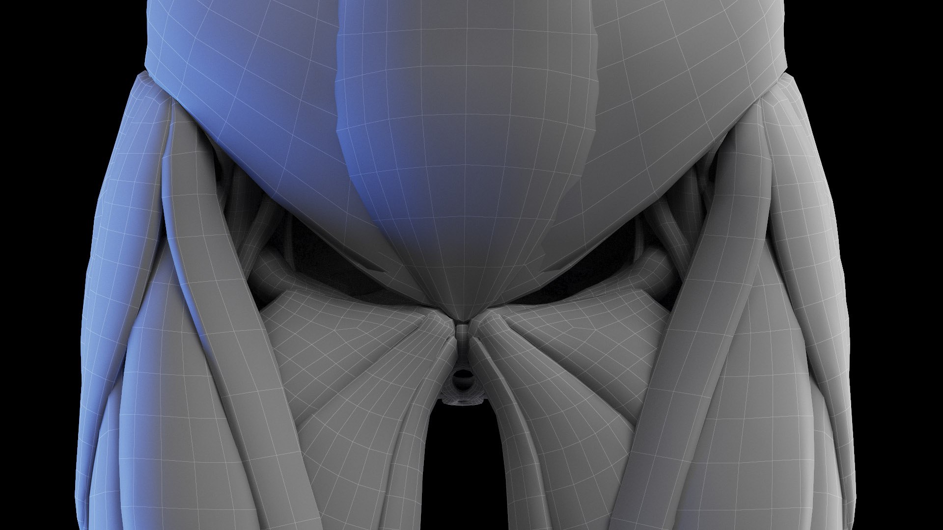 Female Muscular and Skeletal Systems 3D - TurboSquid 2010711