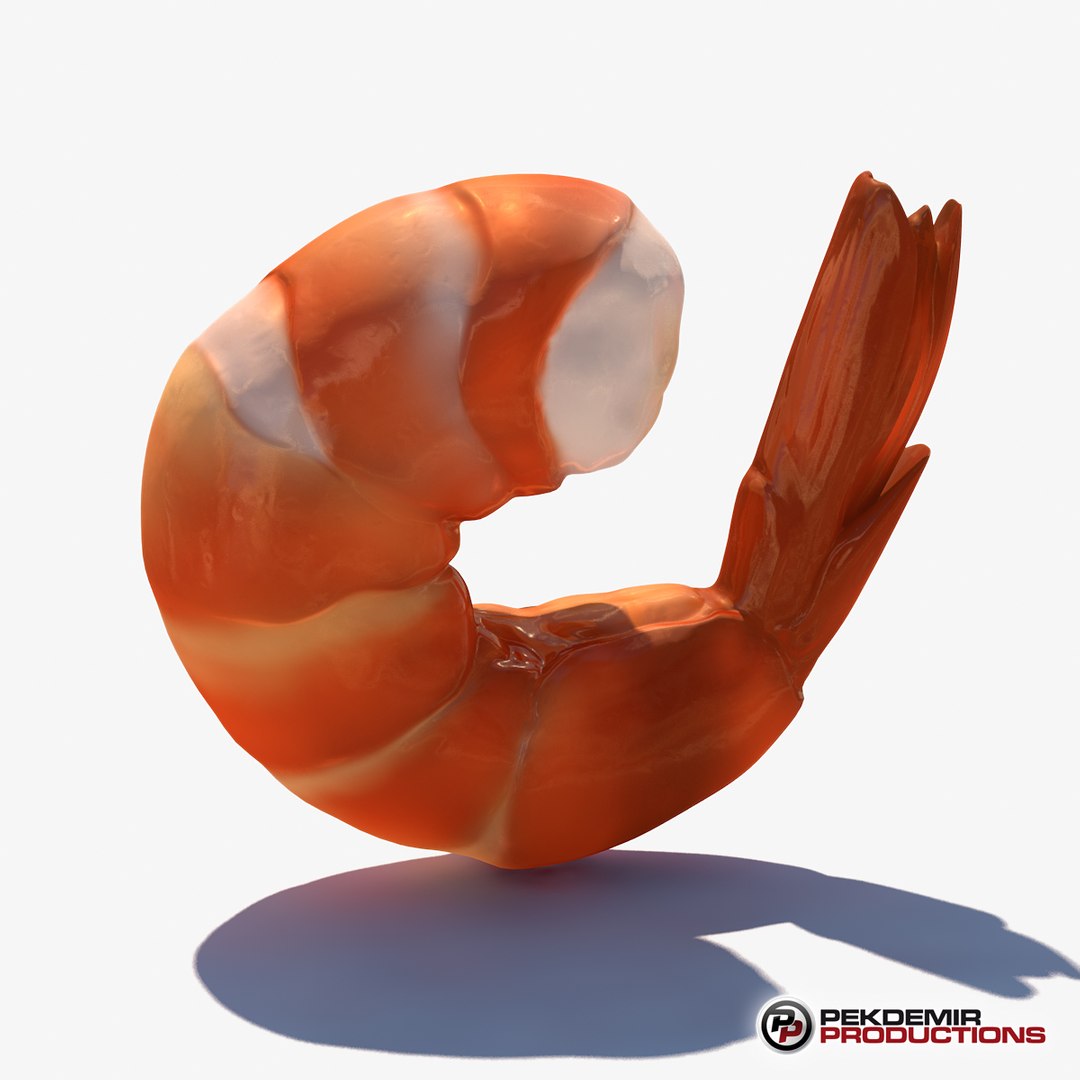 3d C4d Shrimp