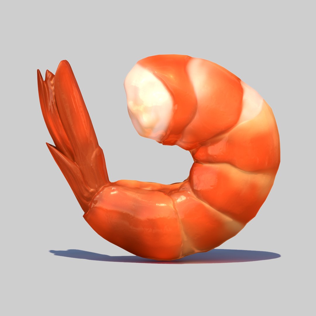 3d C4d Shrimp