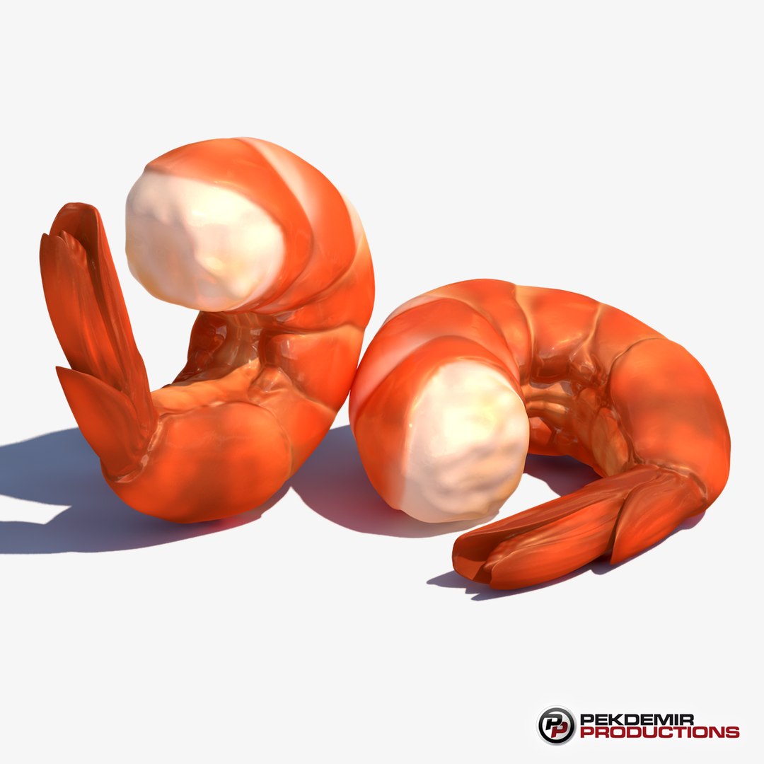 3d C4d Shrimp
