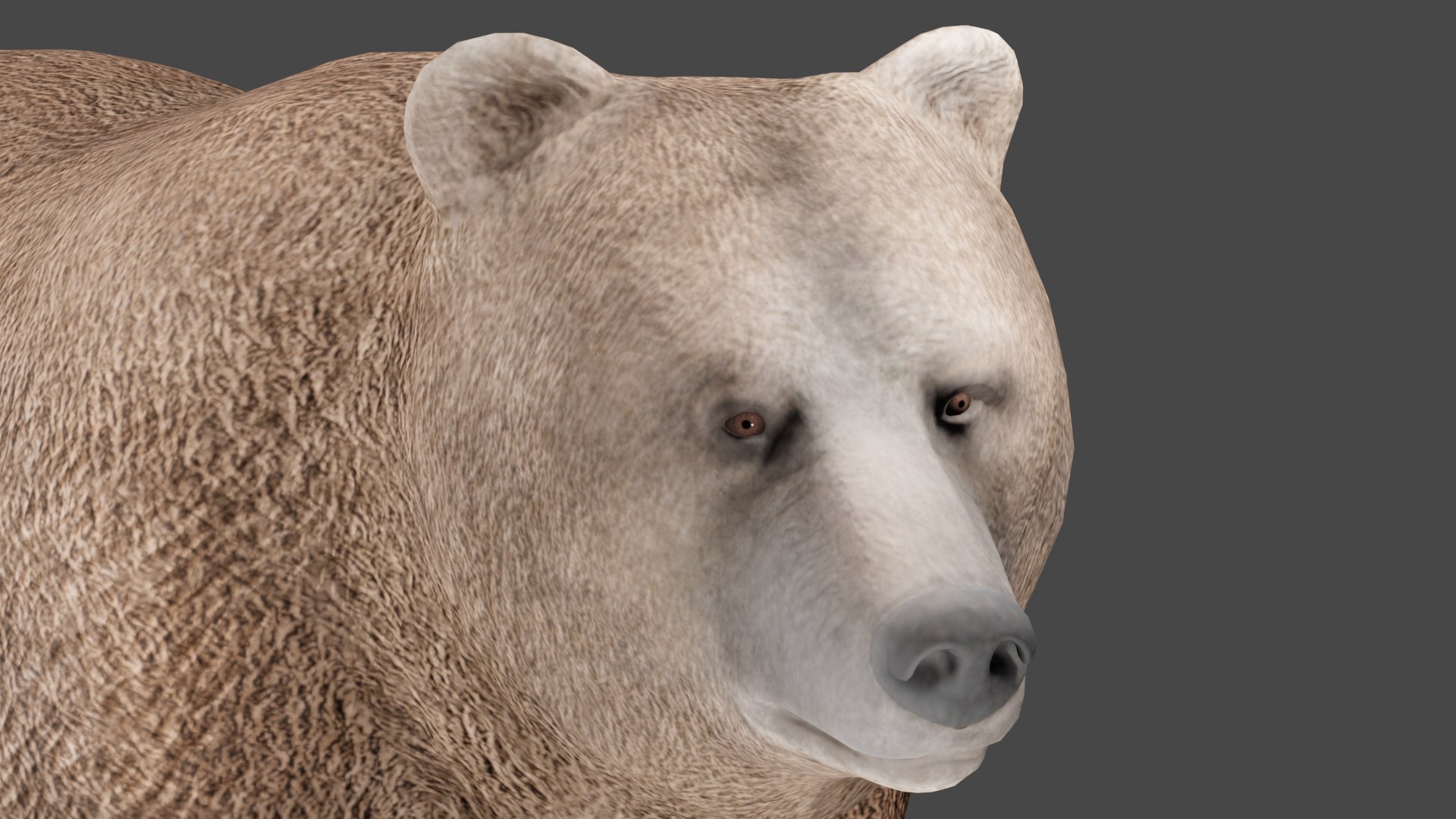 Bear Realestic 3d Model Model - TurboSquid 2365563