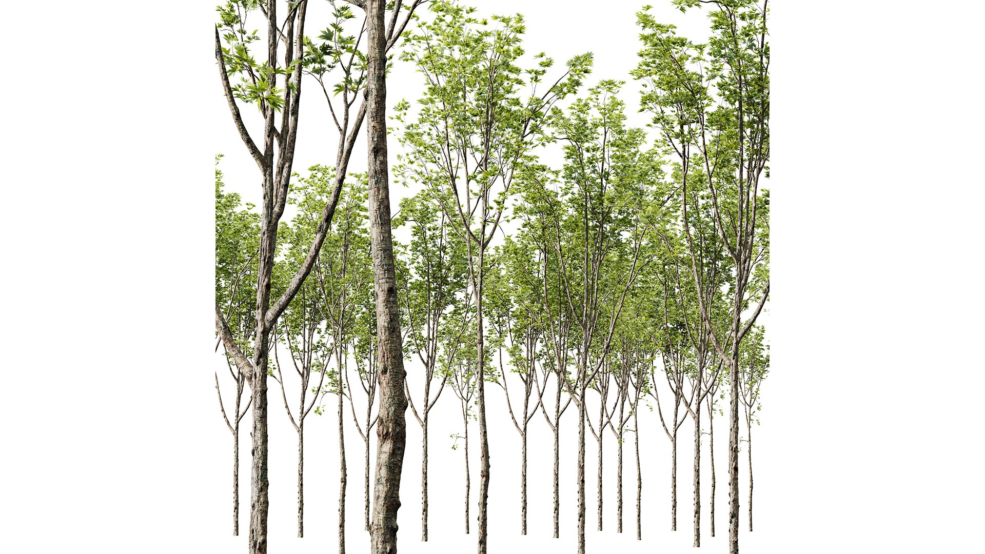3D Spring Trees 03 Model - TurboSquid 2150011