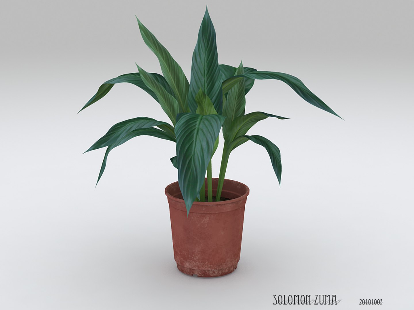 3d plant v1