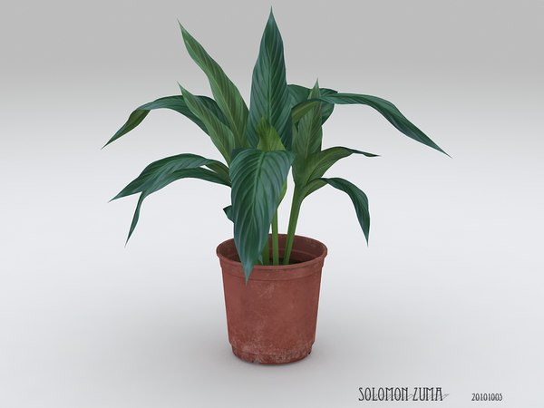 modelo 3d planta verde v1.0 - TurboSquid 599850