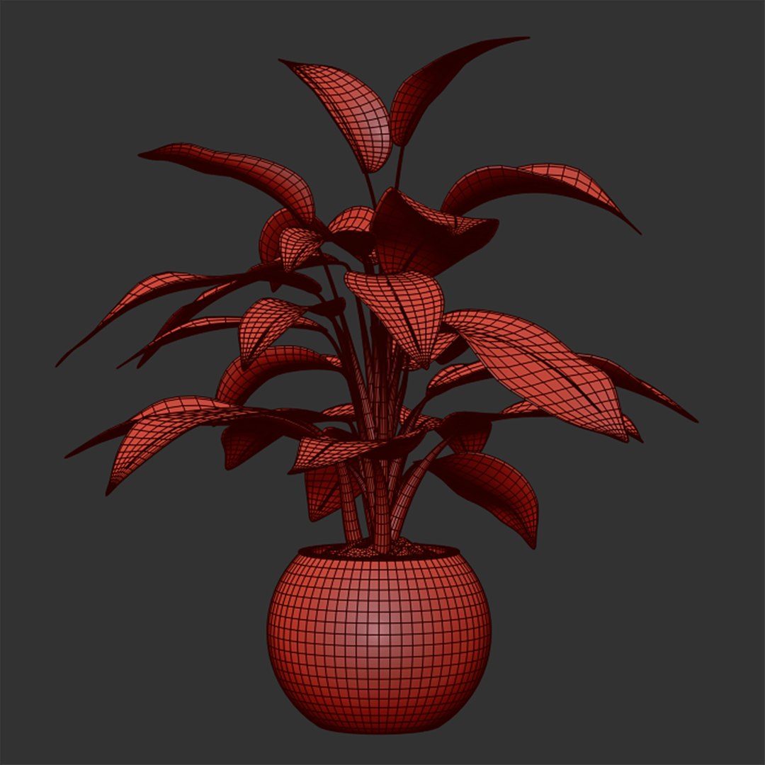 Aglaonema Infinity Indoor Plant 3D Model - TurboSquid 2207455
