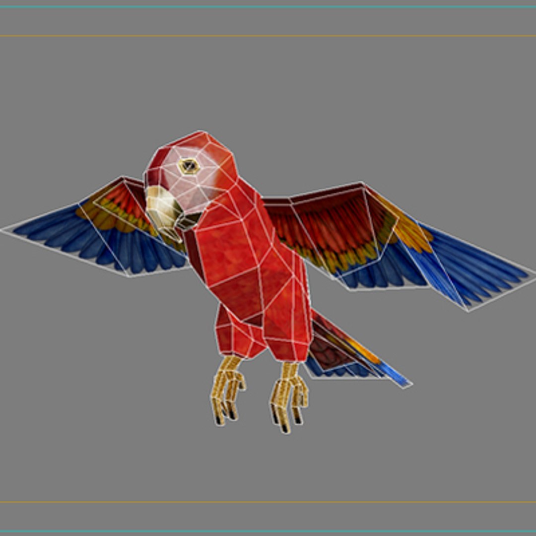 Parrot Bird 3d Max
