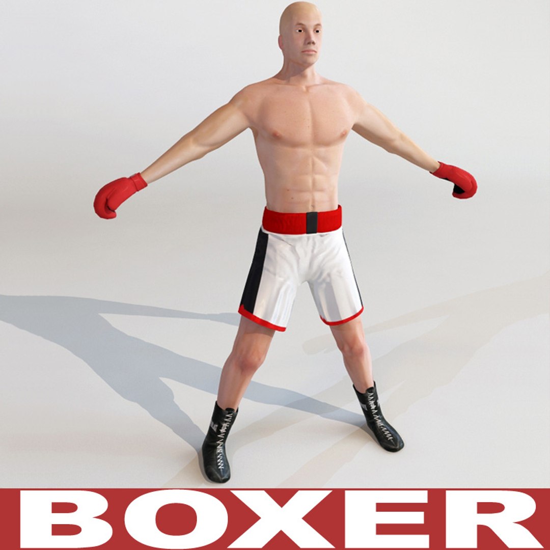 3d boxer games modelled model