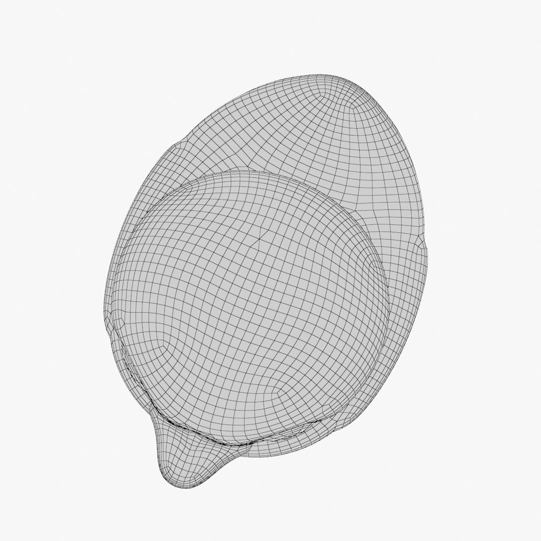 Rubber duck 01 4 model - TurboSquid 1210496