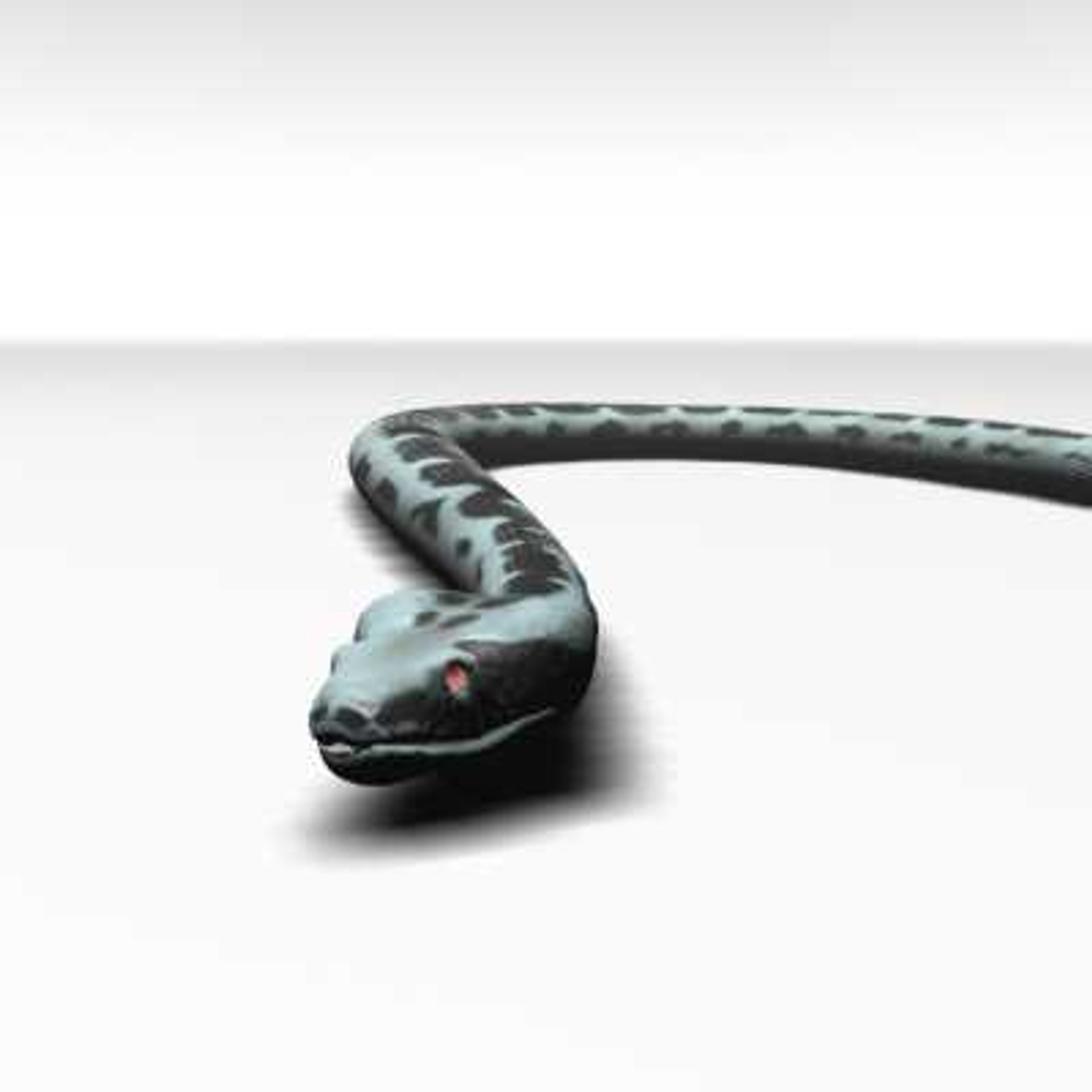 snake animation 3d model