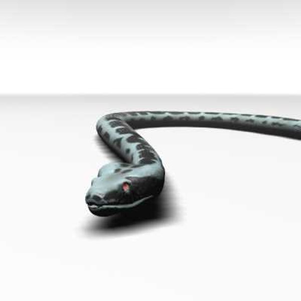 snake animation 3d model