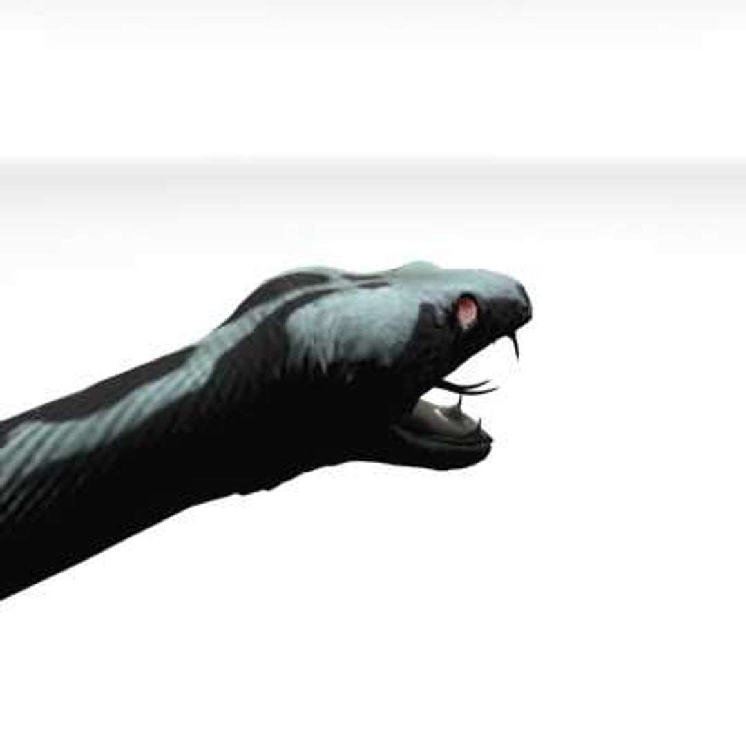 Snake Animation 3d Model