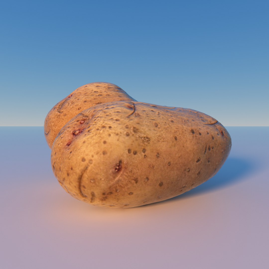Photorealistic 3D Scan Of Potato 3D Model - TurboSquid 2228716