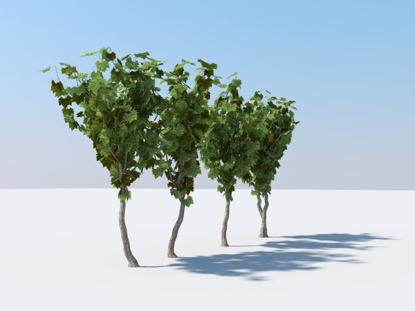 3d model pack vineyard