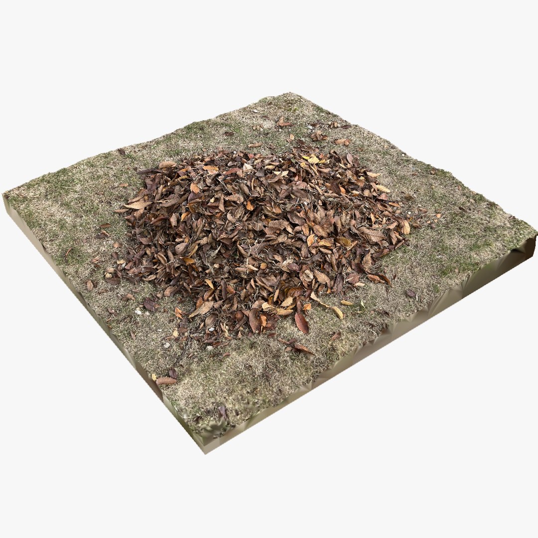 3D Leaves on the ground 3d scan model - TurboSquid 1993319