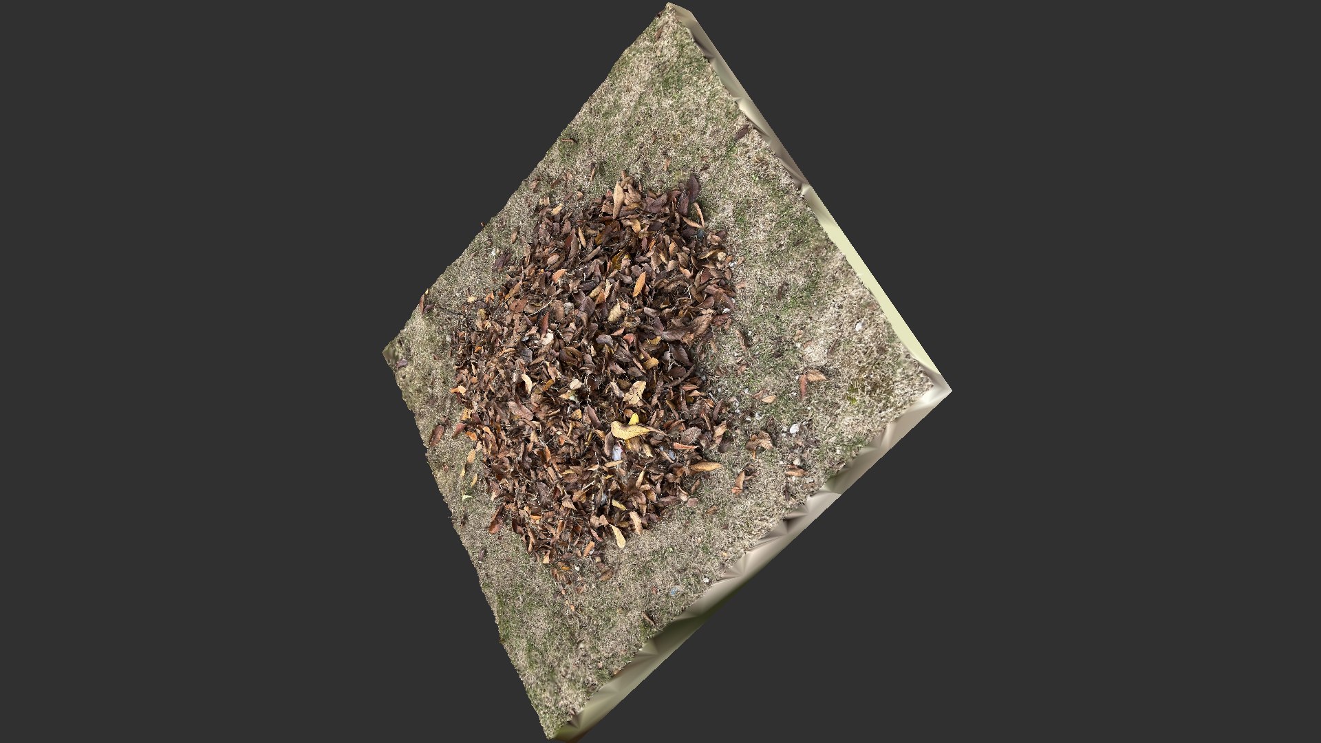 3D Leaves On The Ground 3d Scan Model - TurboSquid 1993319