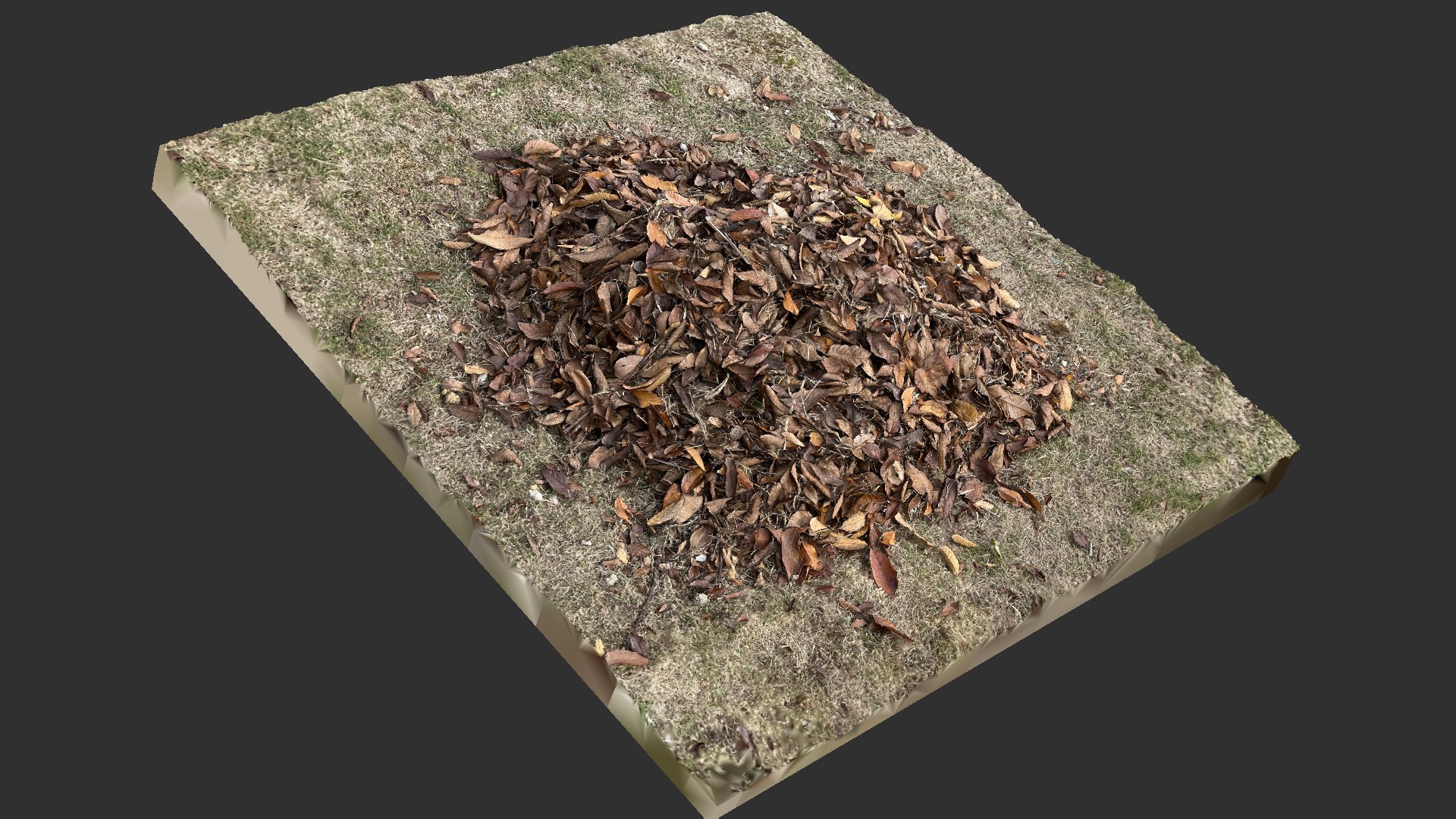 3D Leaves On The Ground 3d Scan Model - TurboSquid 1993319