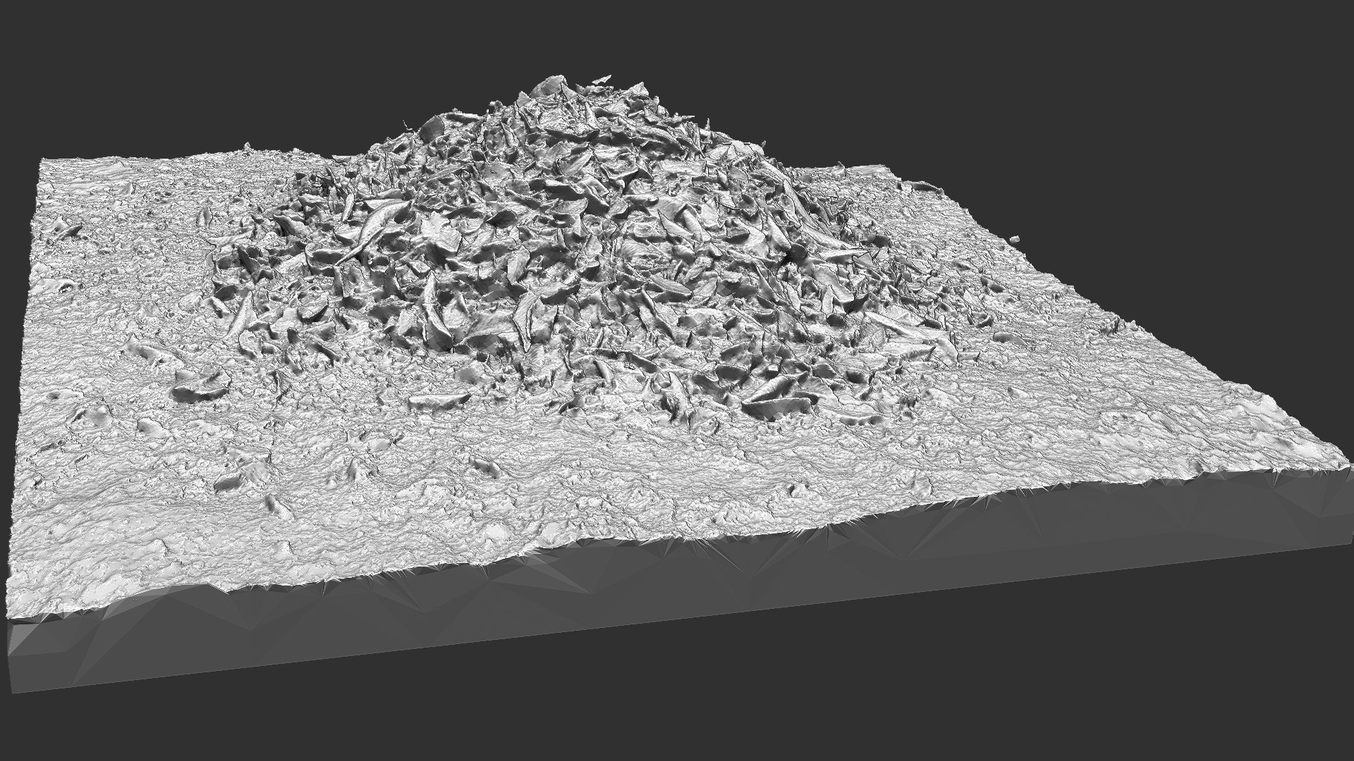 3D Leaves On The Ground 3d Scan Model - TurboSquid 1993319