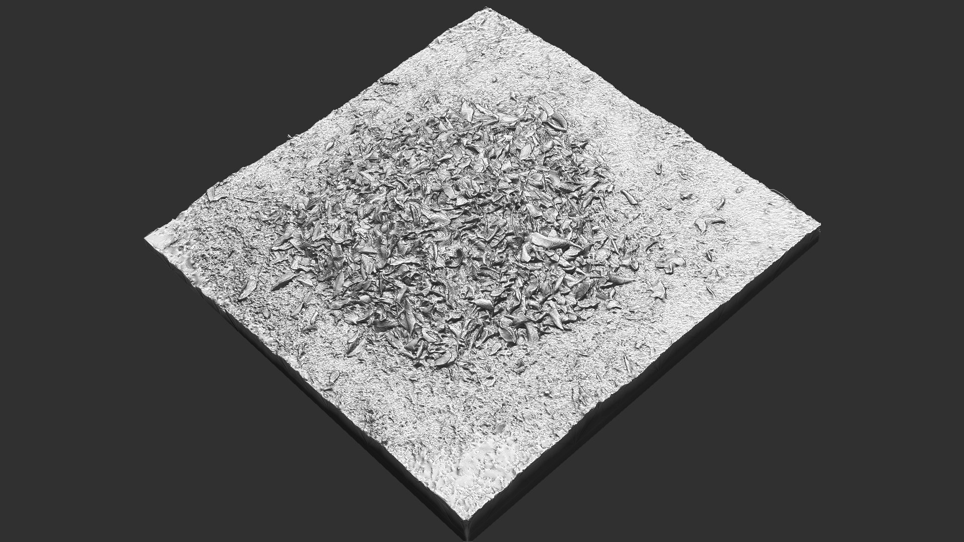 3D Leaves On The Ground 3d Scan Model - TurboSquid 1993319