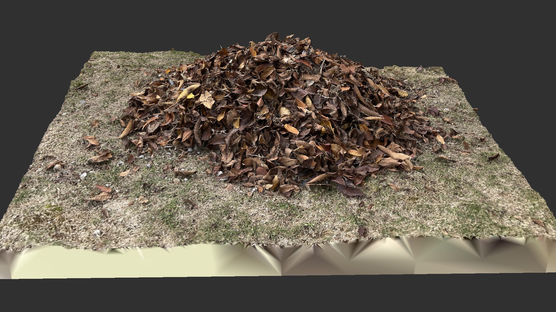 3D Leaves On The Ground 3d Scan Model - TurboSquid 1993319