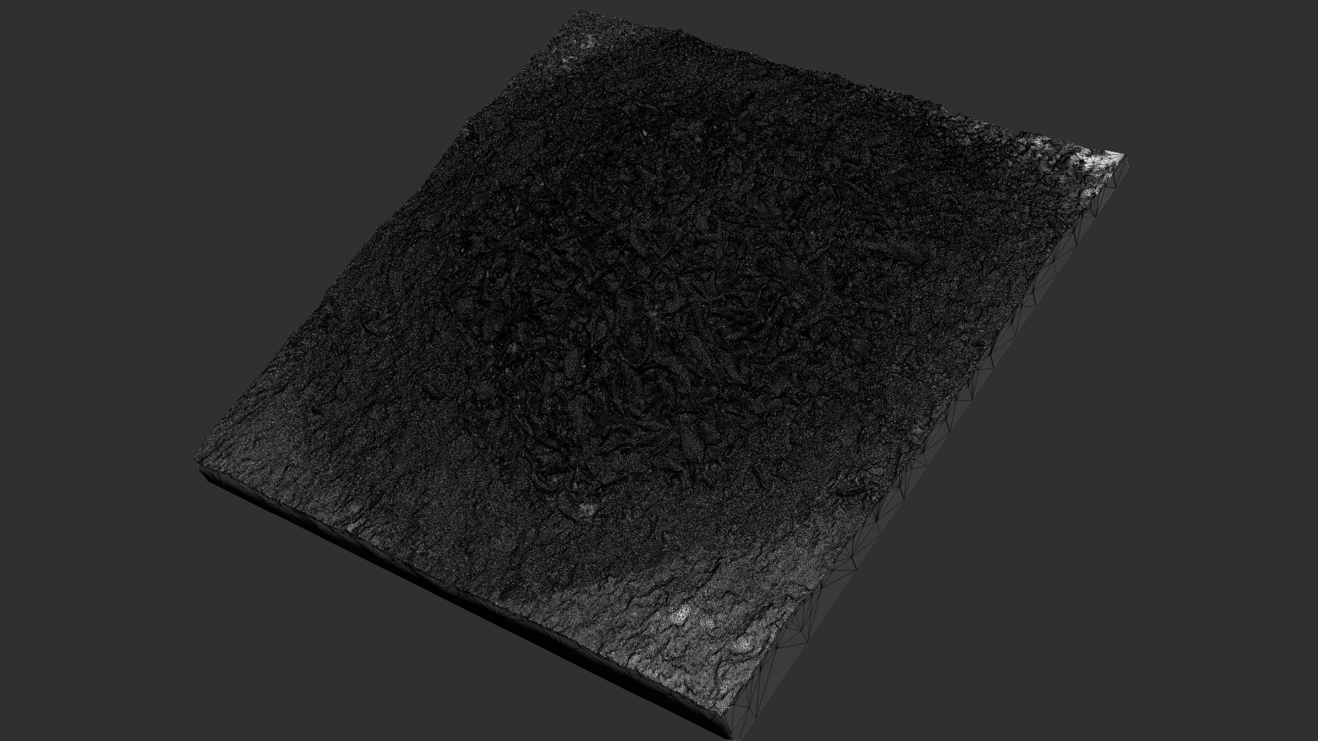 3D Leaves On The Ground 3d Scan Model - TurboSquid 1993319