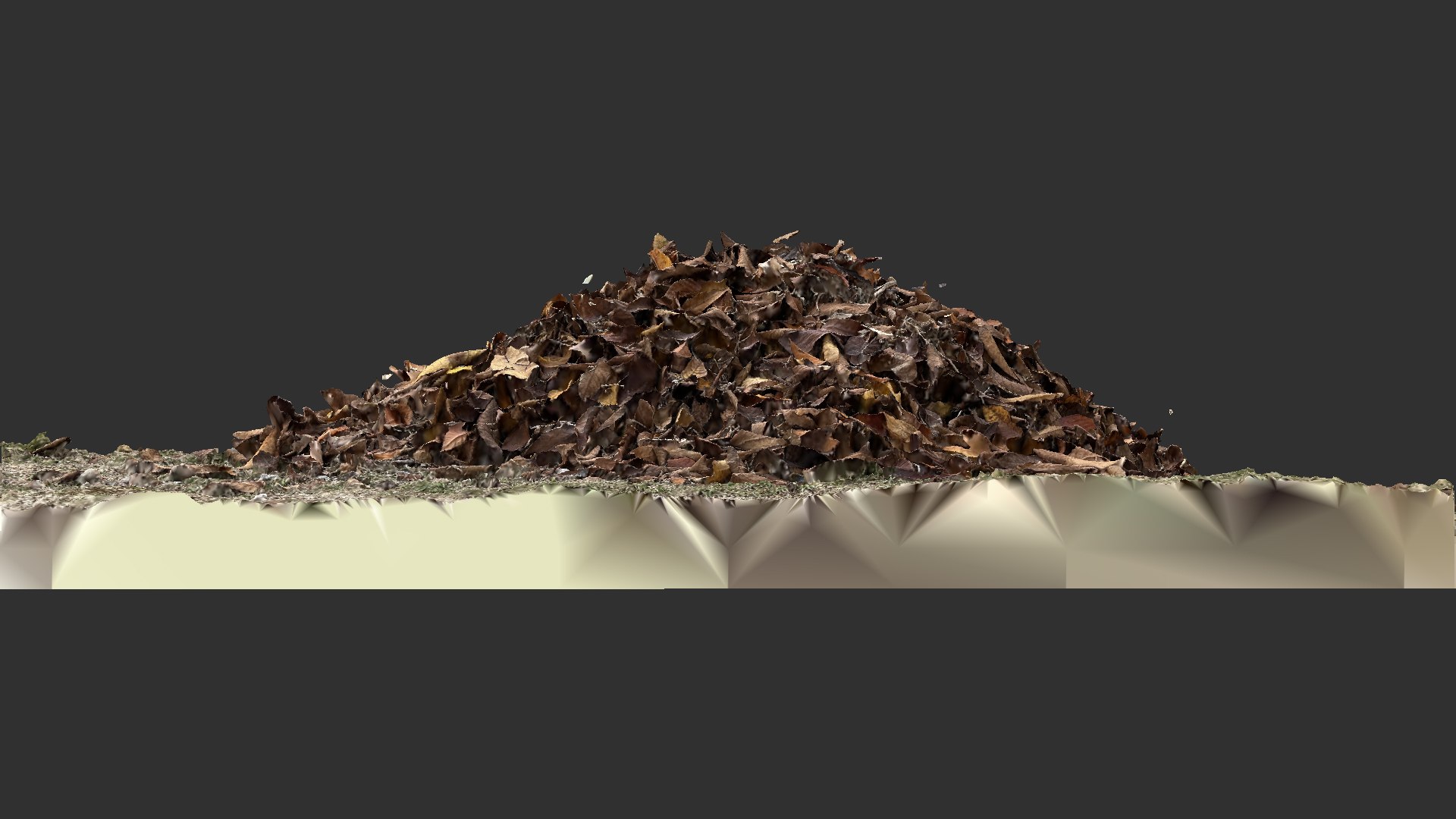 3D Leaves On The Ground 3d Scan Model - TurboSquid 1993319