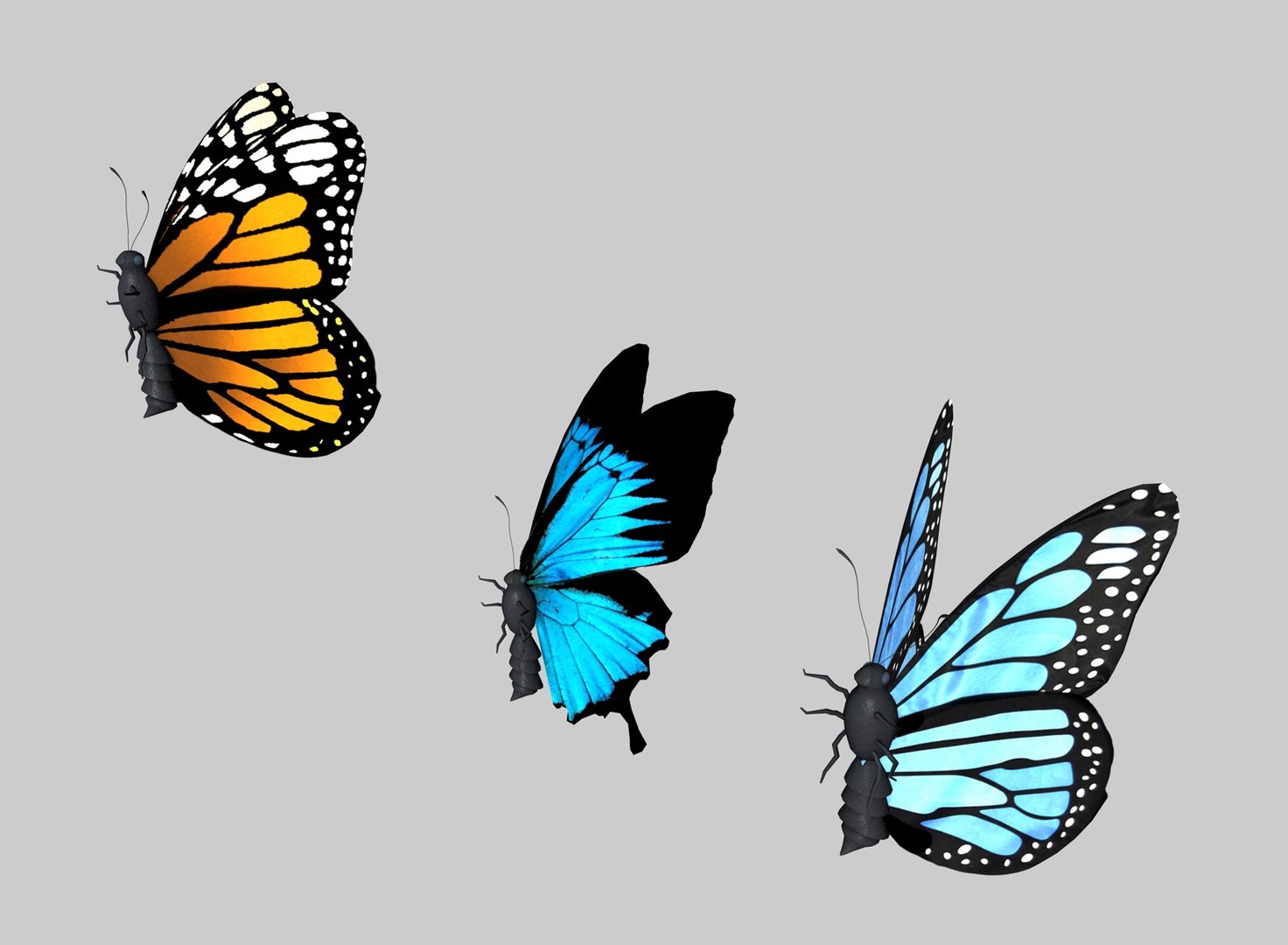 c4d butterfly wings