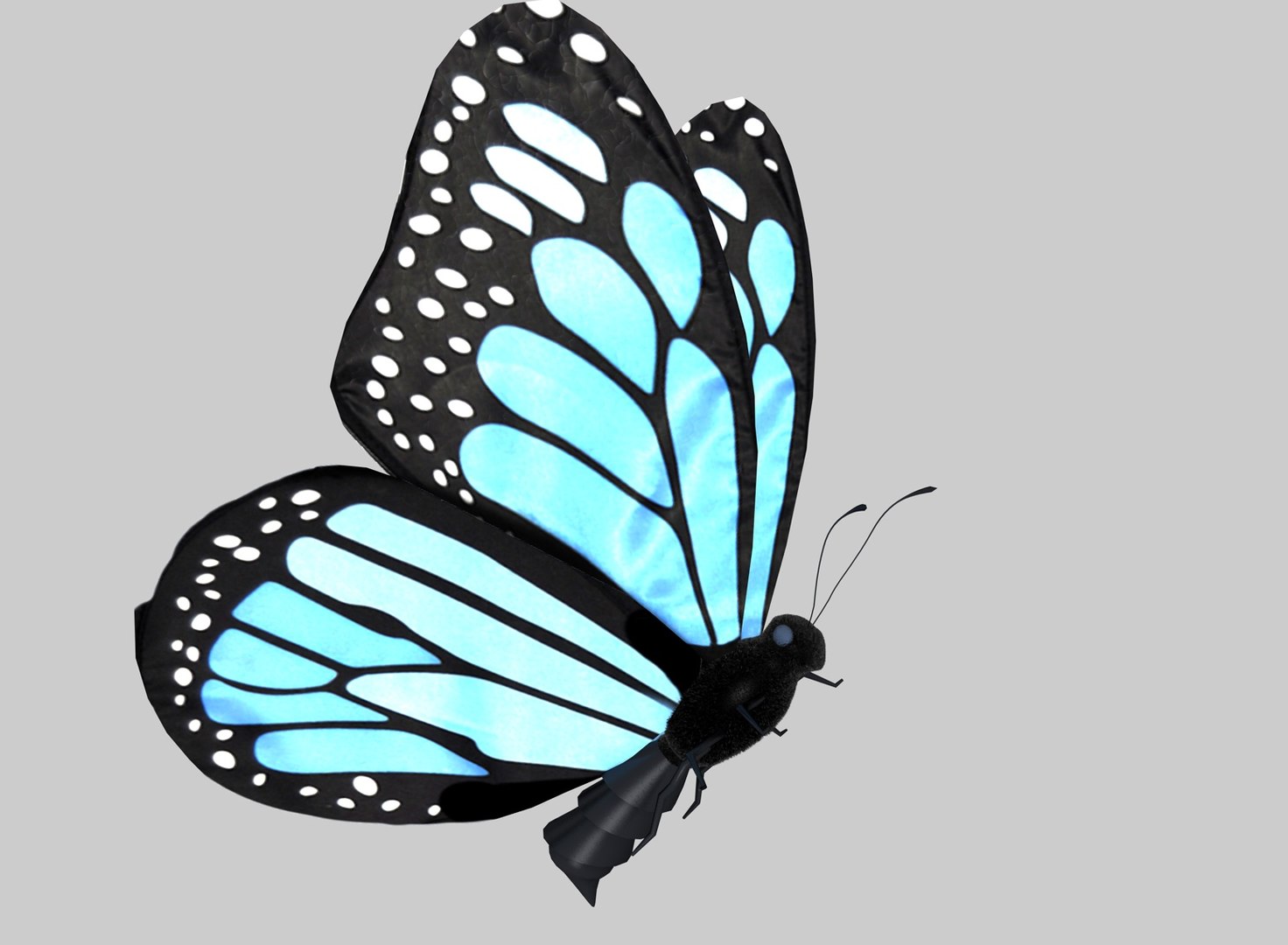 c4d butterfly wings