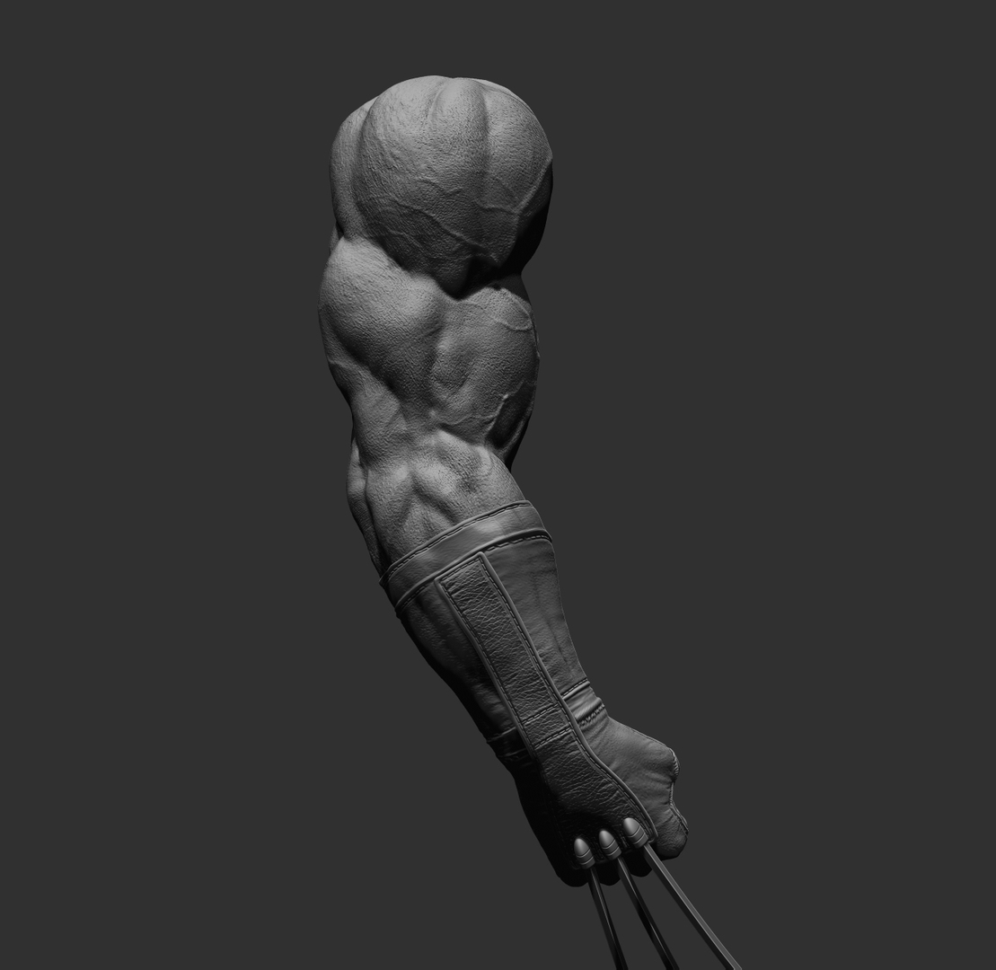 Wolverine arm 3D model - TurboSquid 1813292