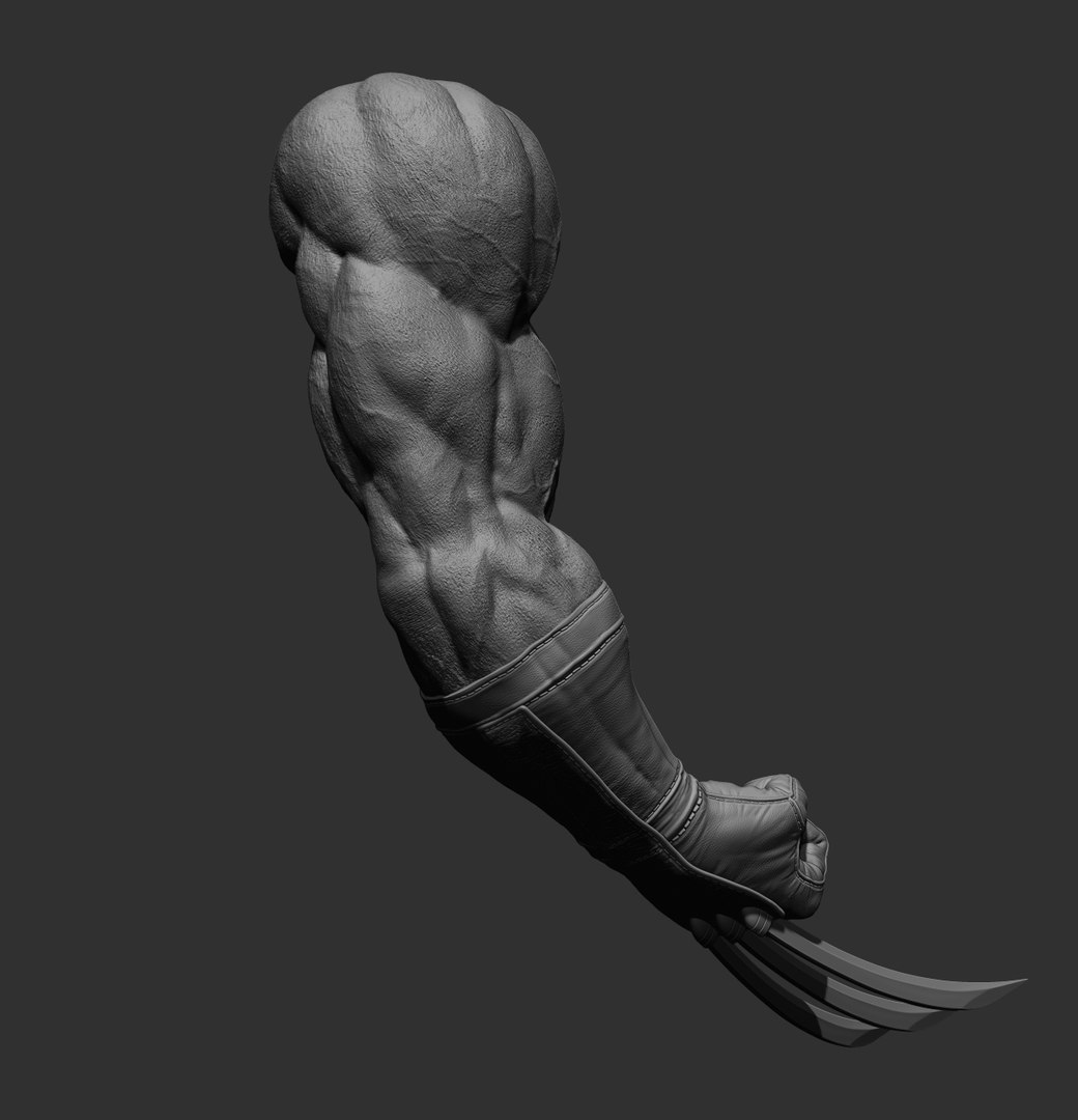 Wolverine arm 3D model - TurboSquid 1813292