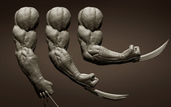 Wolverine 3D Models for Download | TurboSquid