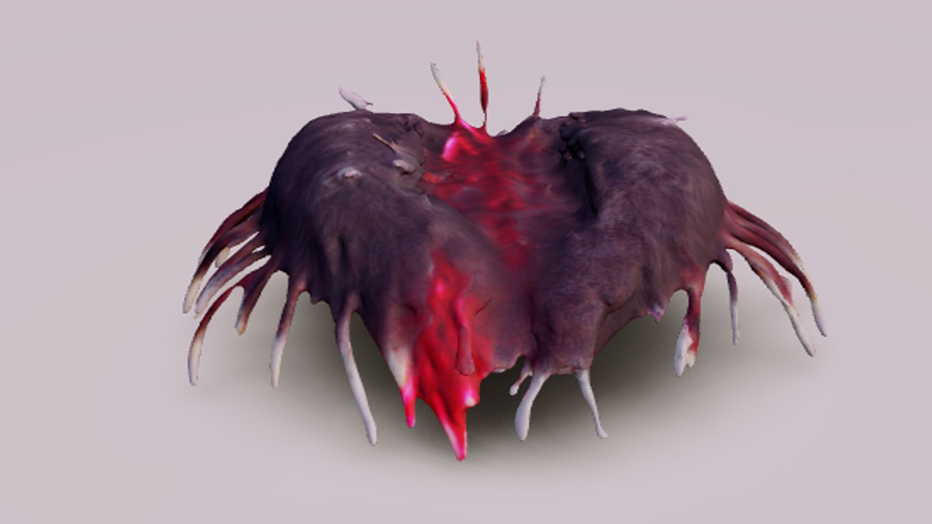 3D Model Grotesque Webbed Horror Cockroach 3D Model FBX - TurboSquid ...