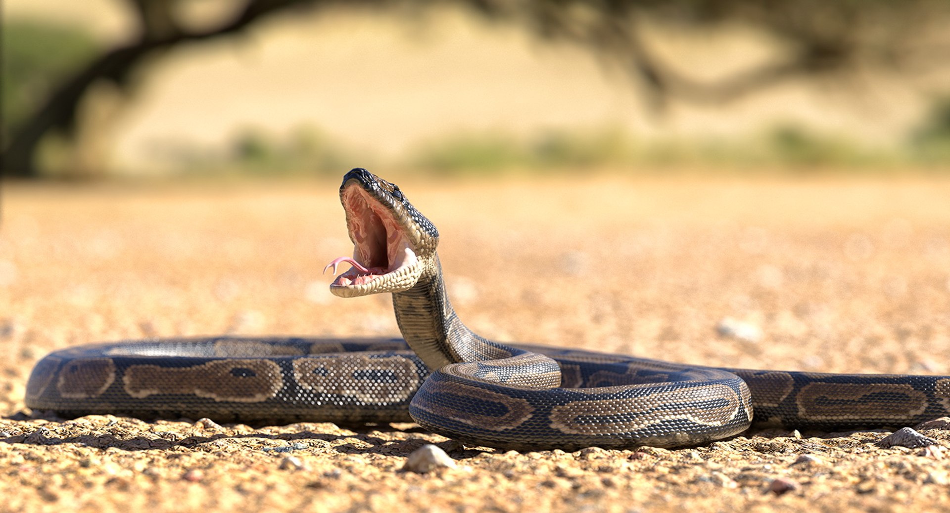 Brown Python Snake Rigged 3D Model - TurboSquid 1434024