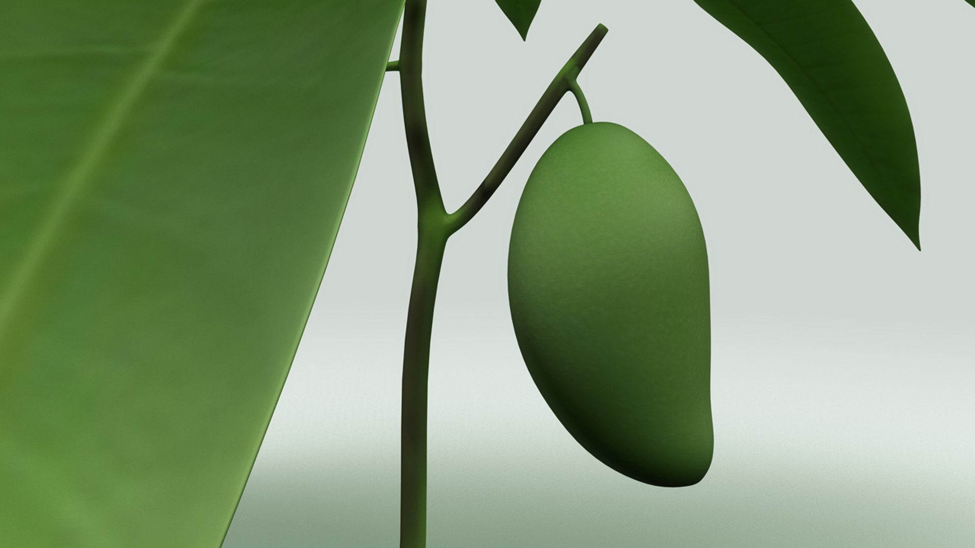 3d Obj Mangifera Mango