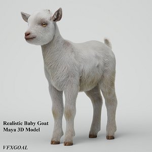 3D Goat Models - Browse & Download Formats - TurboSquid
