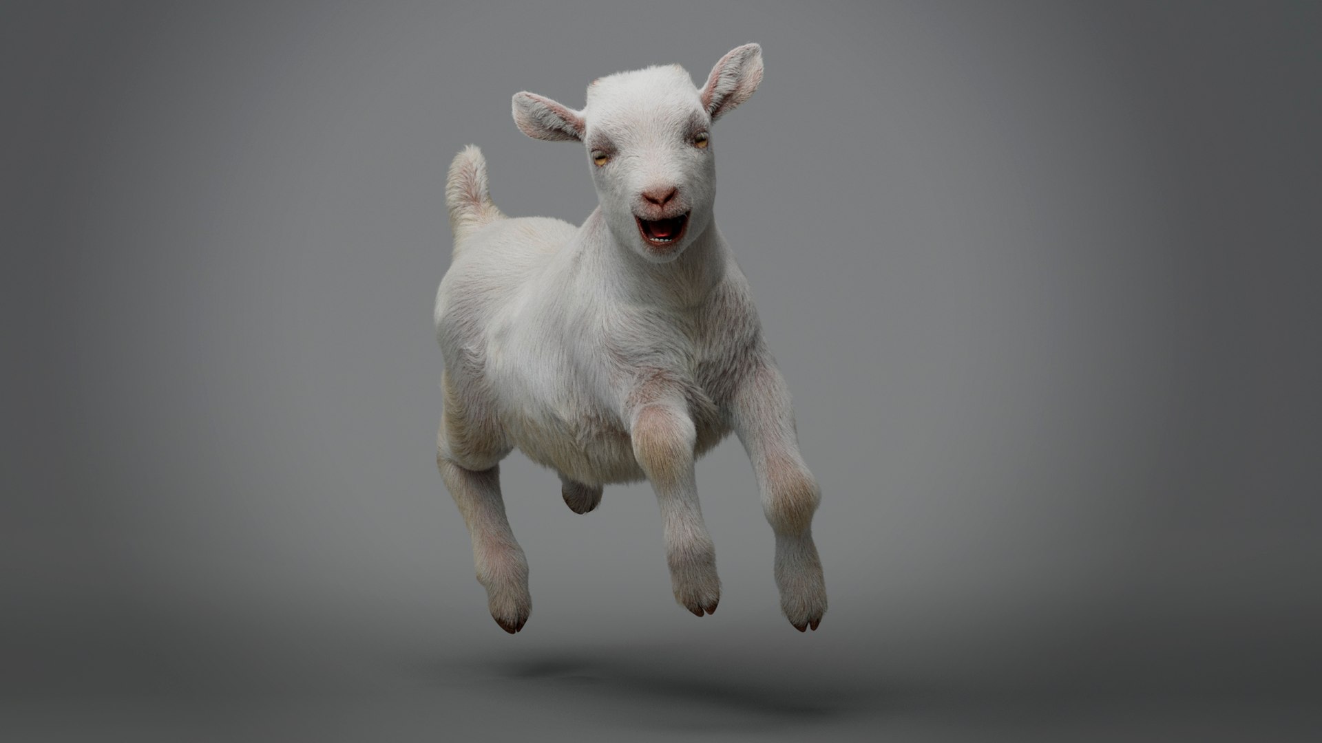Realistic Little Baby Goat With Fur Faceial Rig3D Model 3D Model ...