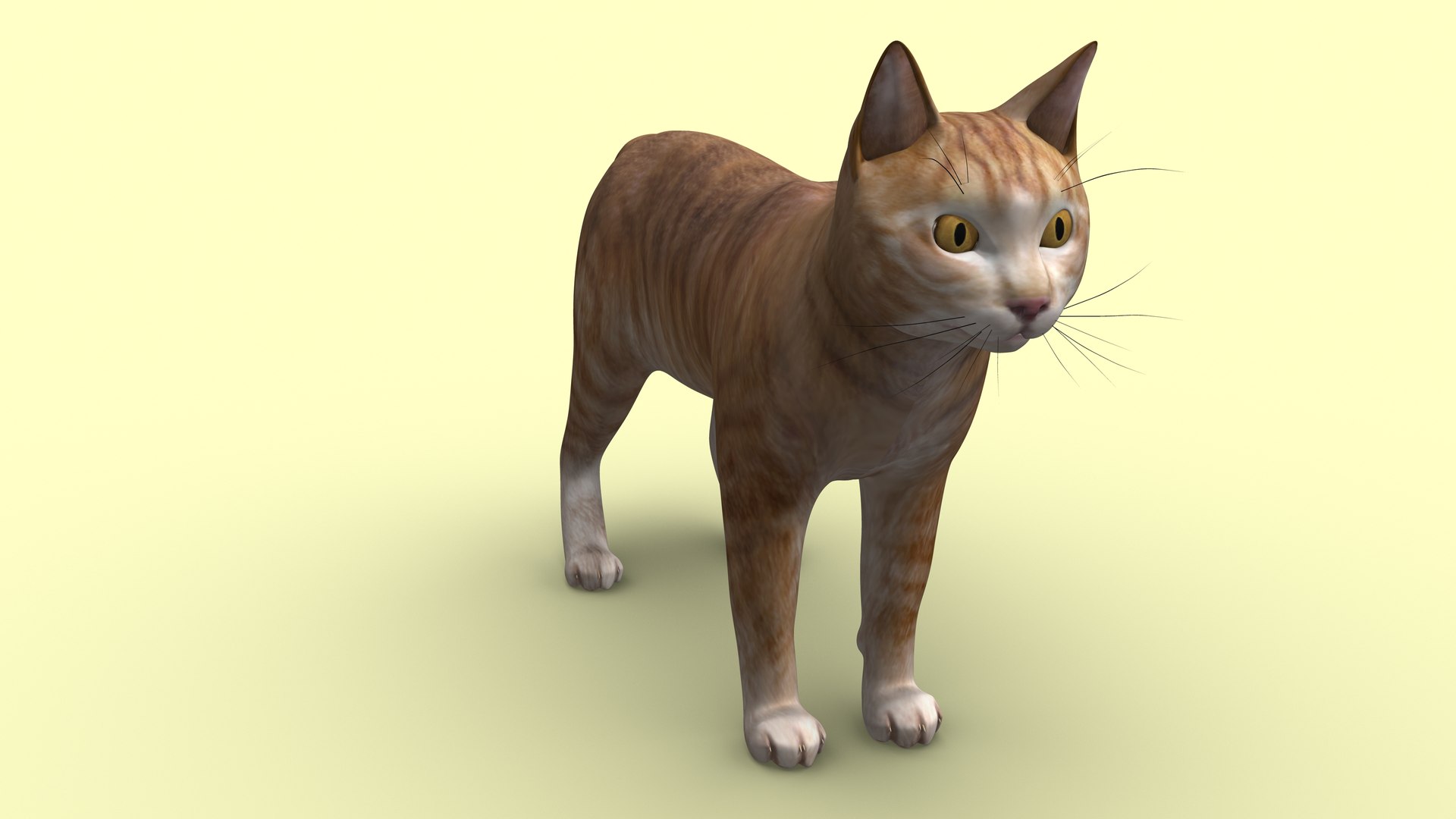 Cat Orange Tabby 3D Model - TurboSquid 2317784