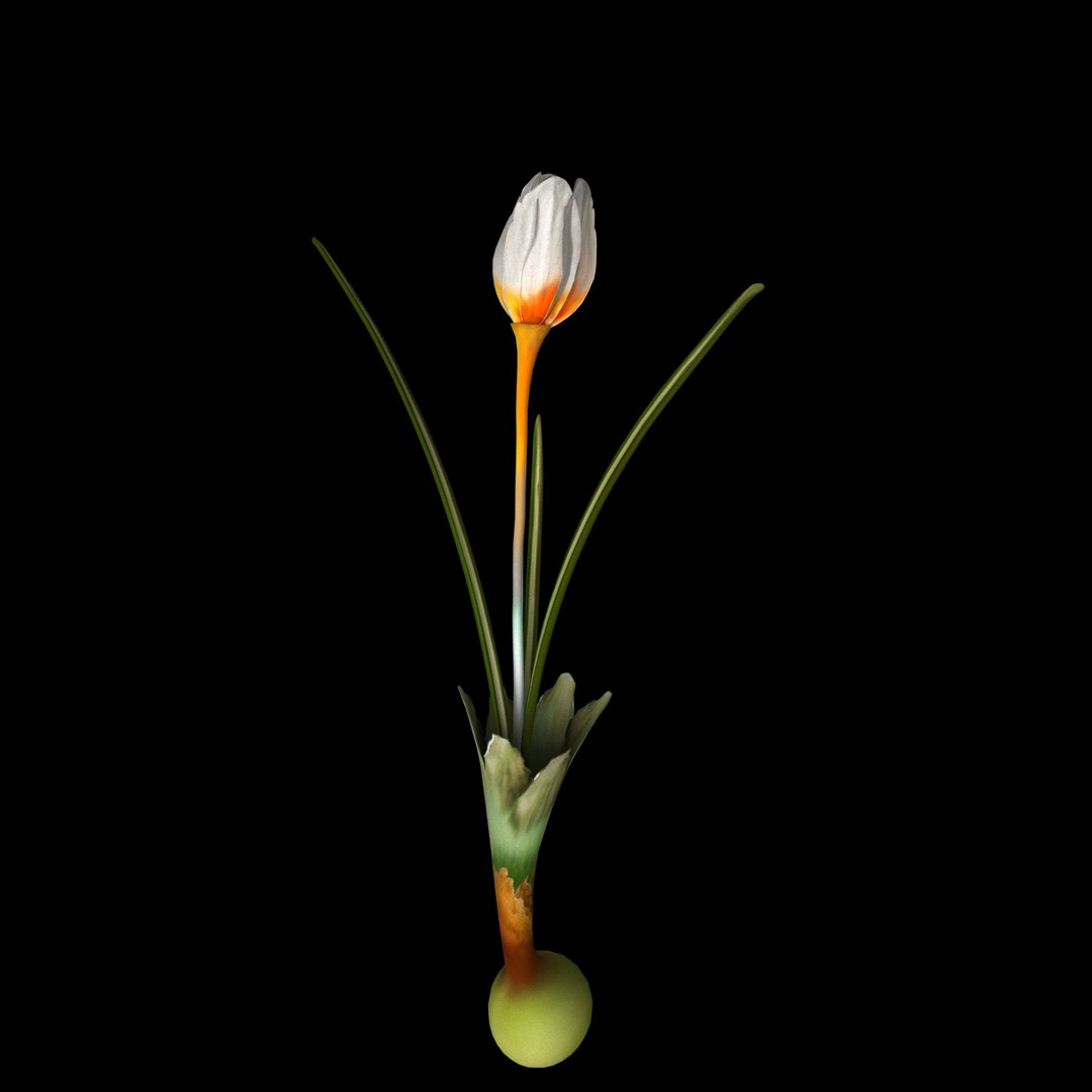 3D Flowers Open Animation Model - TurboSquid 1588218