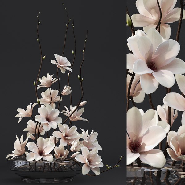 magnolia 3d model
