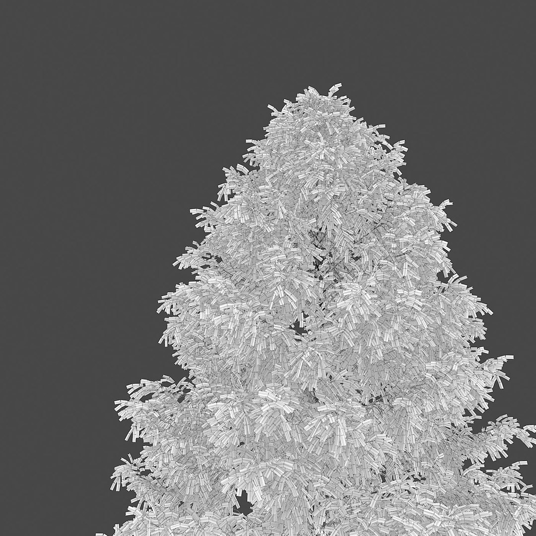 3d model spruce tree